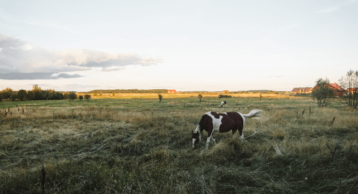Promises made in relation to a farming property and whether those ...